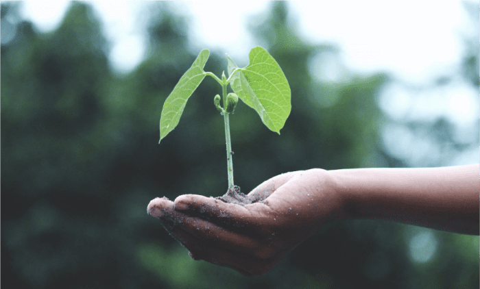 Customer Relations - Geely Philippines